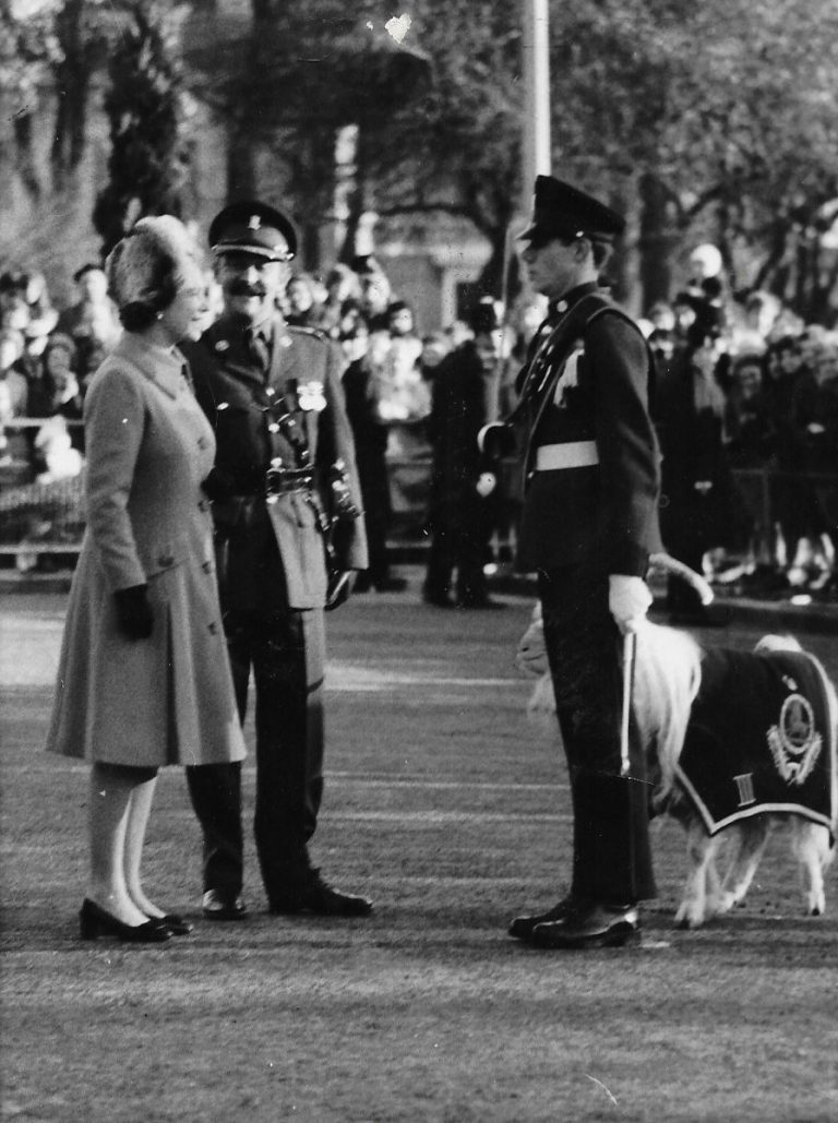 A Brief History of The Regimental Mascot | Royal Welsh Museum