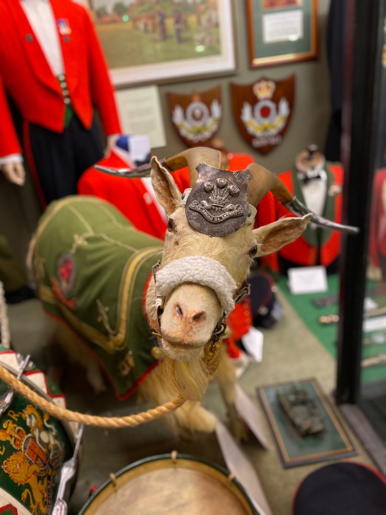A Brief History of The Regimental Mascot | Royal Welsh Museum